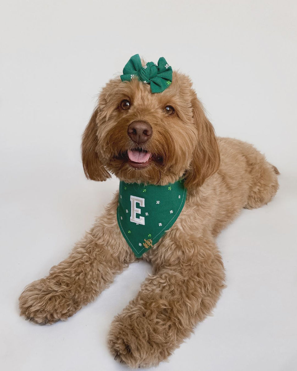 LUCKY EDIT | ALL – The Deluxe Pup