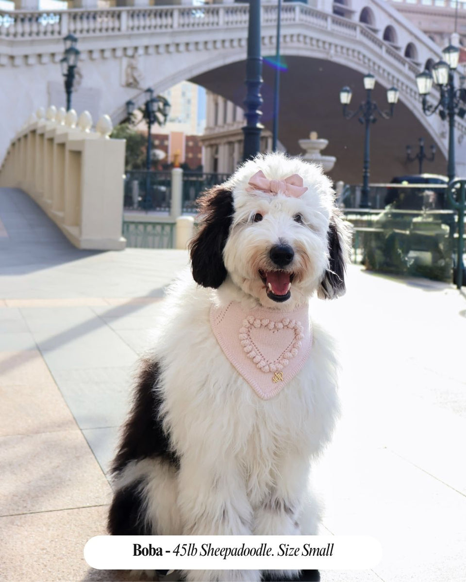 BANDANA | MATILDA – The Deluxe Pup